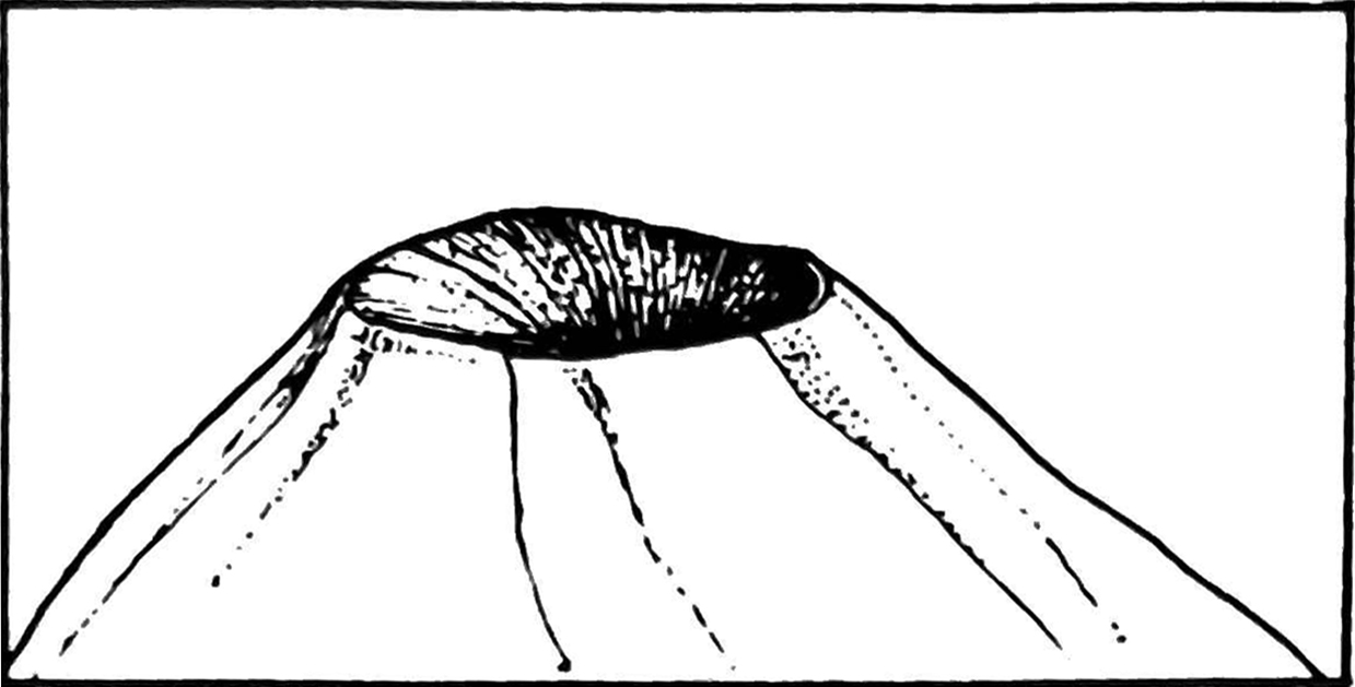 Rejuvenation Stage Volcanoes - Papahana Kuaola
