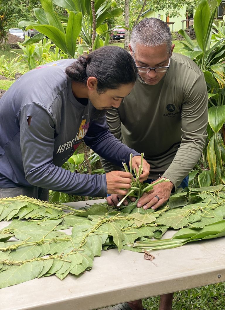 Ka ʻUā Lehu - Papahana Kuaola