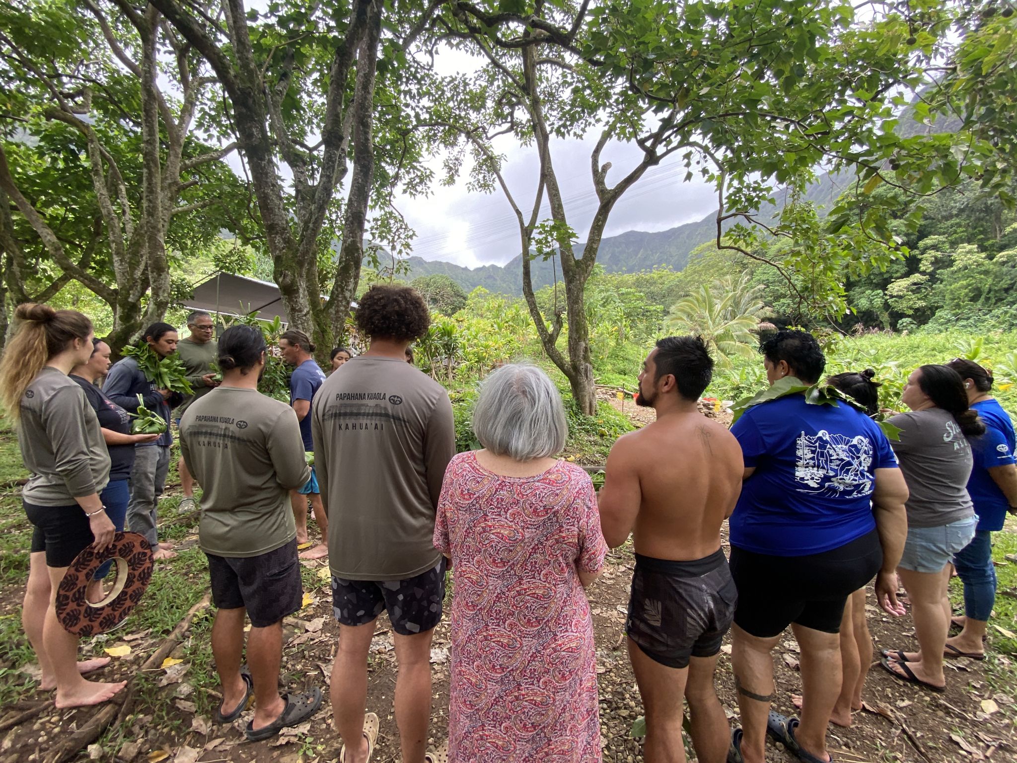 Ka ʻUā Lehu - Papahana Kuaola